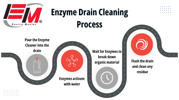 What is an Enzyme Cleaner? How Can It Help Your Drains?